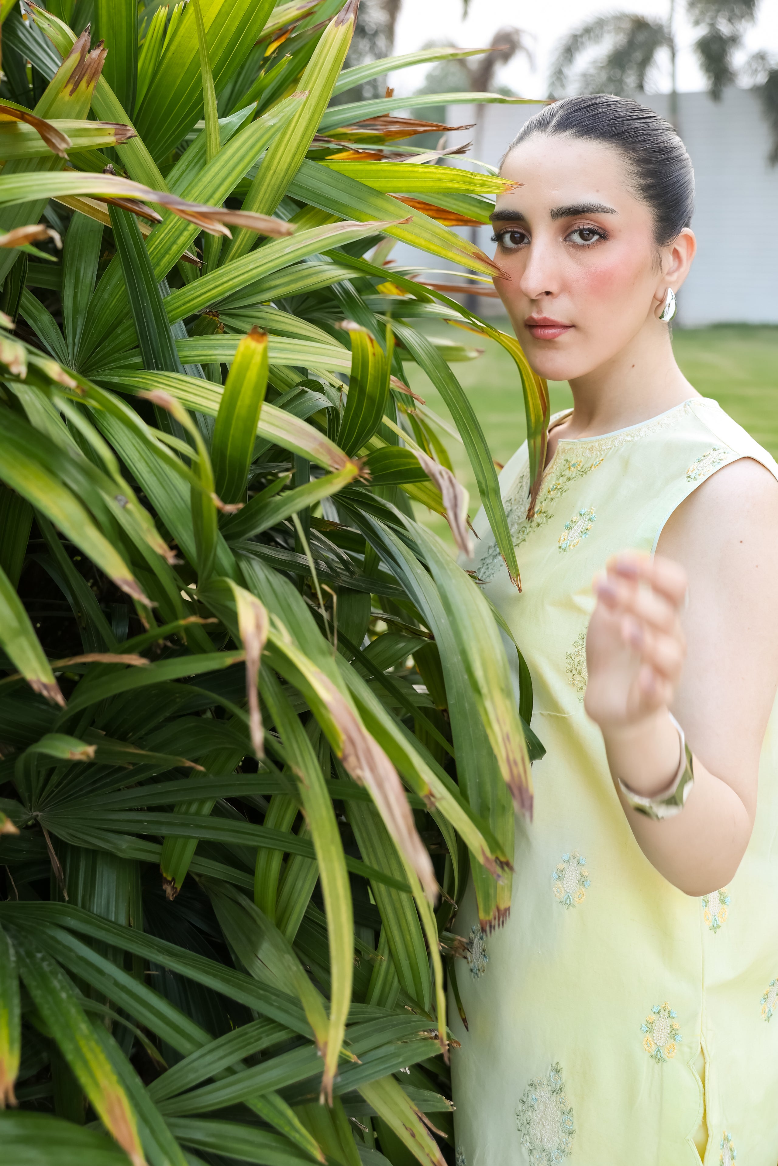 Pakistani Designer Clothing – ZAIB